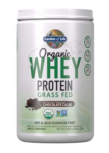 organic whey protein chocolate powder