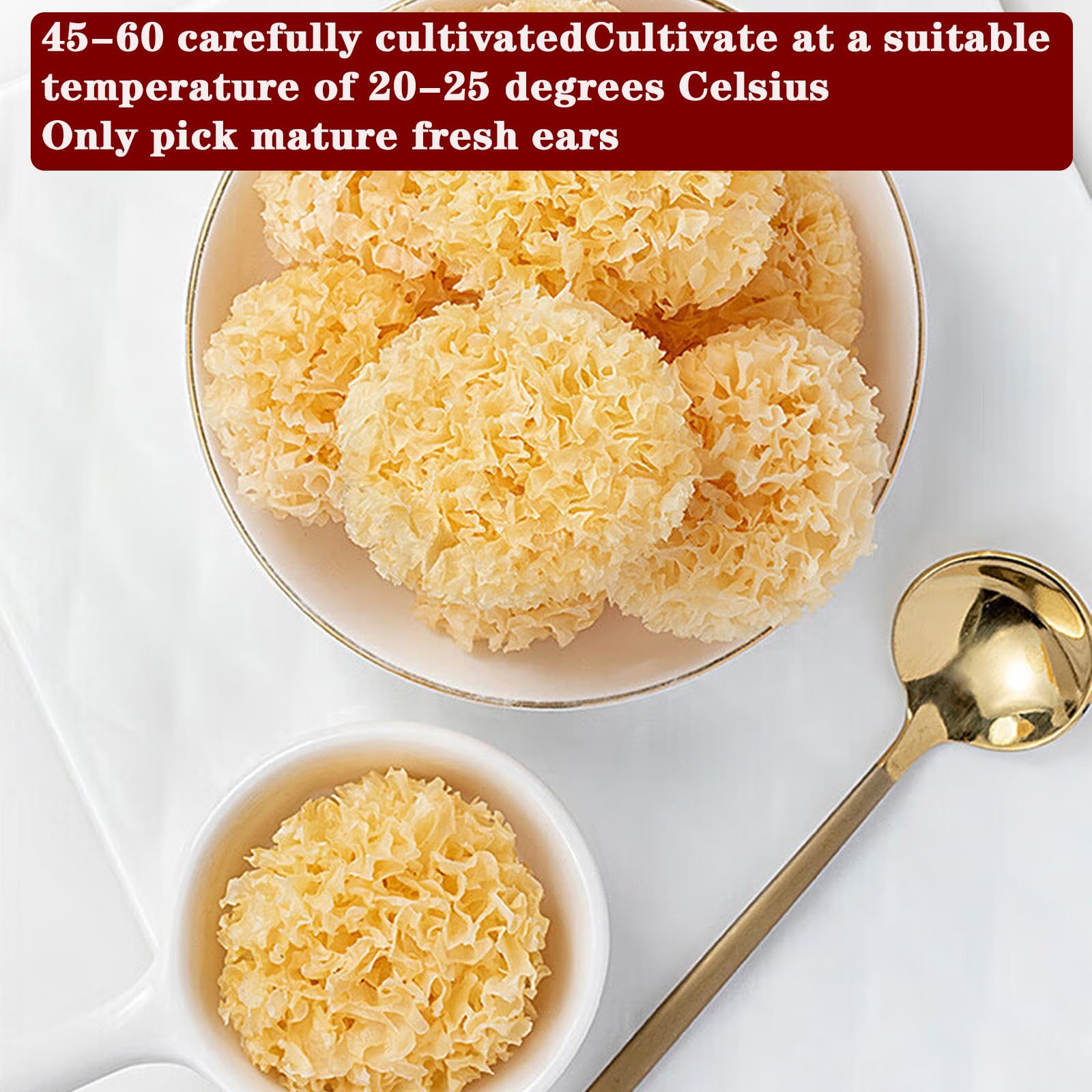 Organic white snow fungus for wellness
