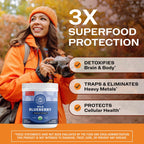 organic wild blueberry powder for smoothies