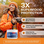 organic wild blueberry powder supplement