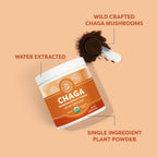 organic wild chaga for immune support