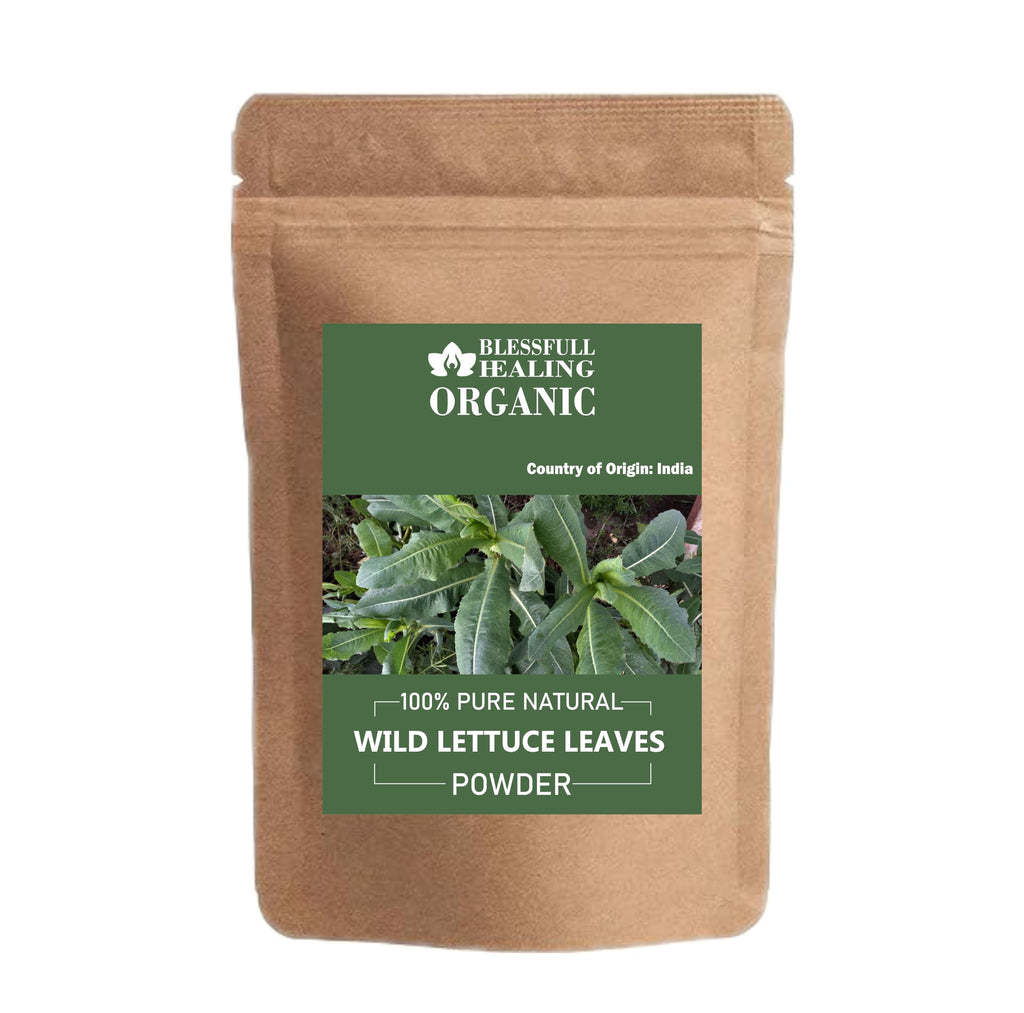 organic wild lettuce leaves powder