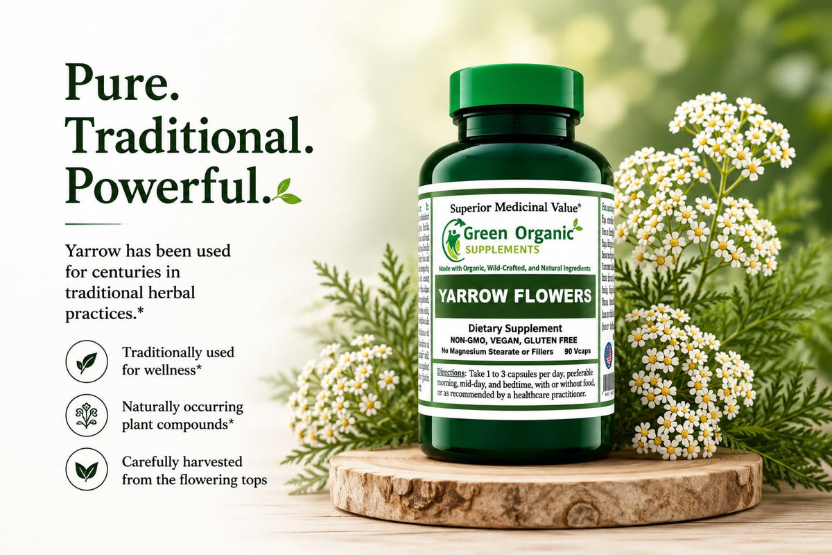 organic yarrow flower health benefits