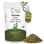 organic yarrow flower herbal tea
