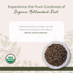 organic yellowdock root for detox