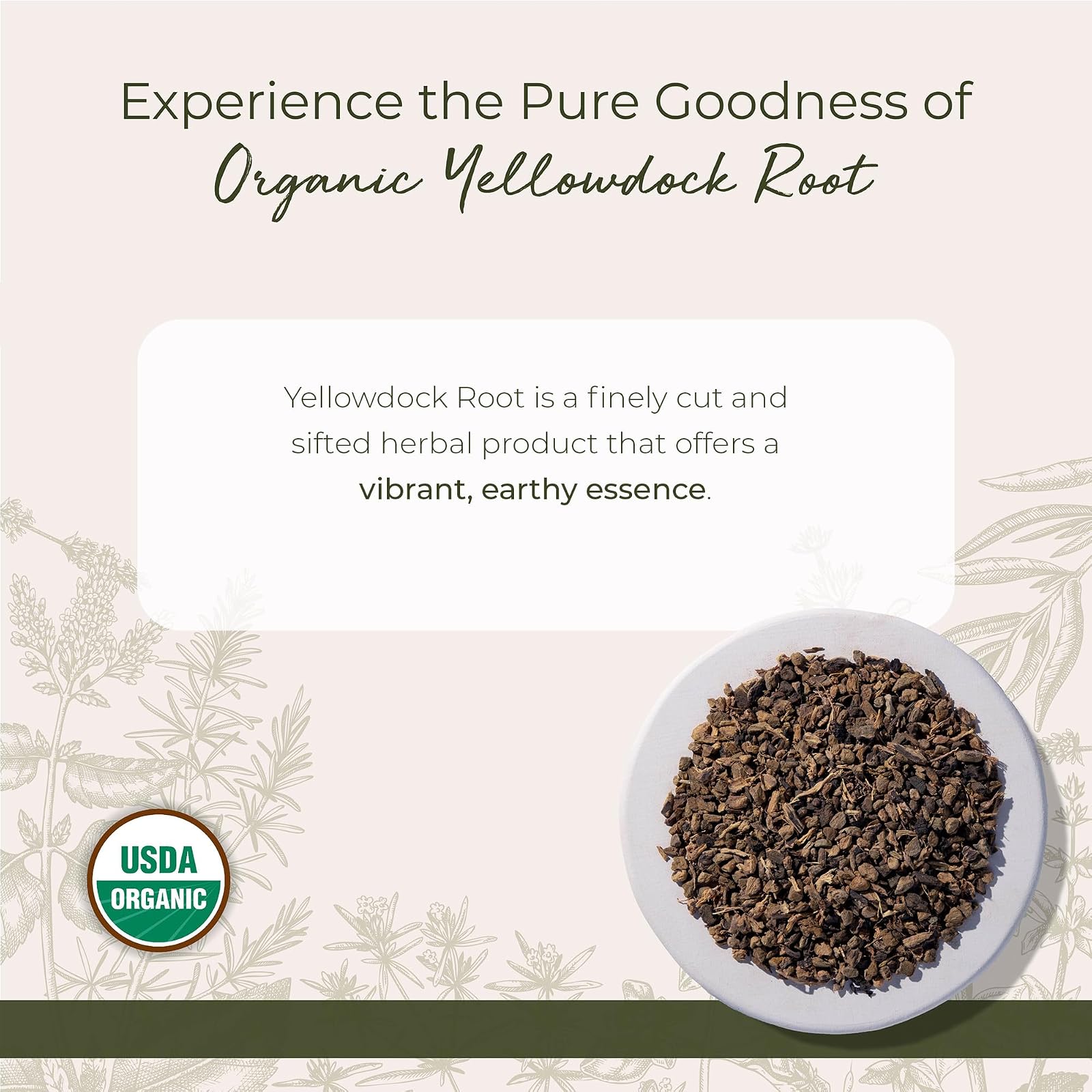organic yellowdock root for detox