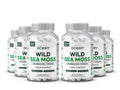 Organics Ocean sea moss benefits