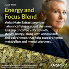 Organixx ashwagandha for balanced energy