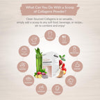 Organixx collagen packets for convenience