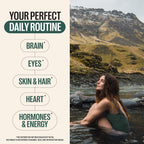 Orlo DHA for brain support