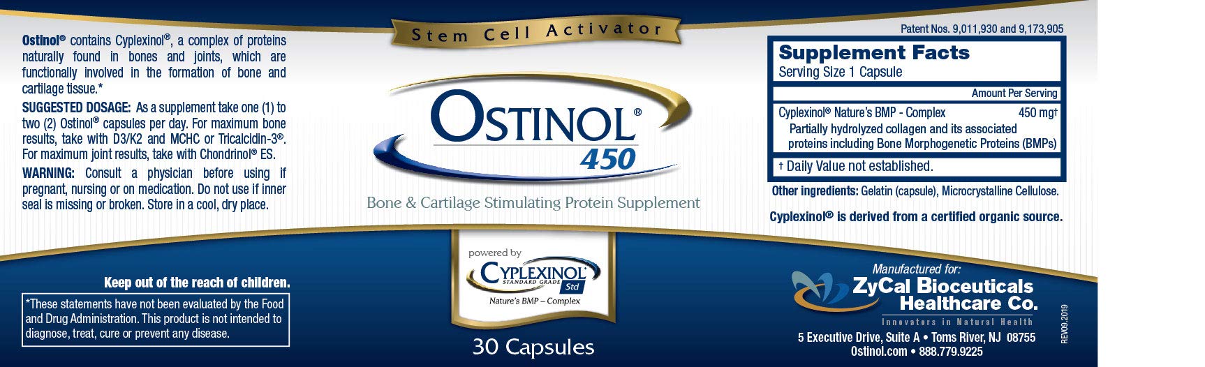 Ostinol supports immune health
