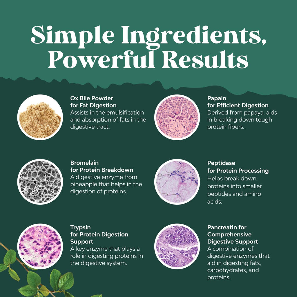Ox Bile capsules for gut health