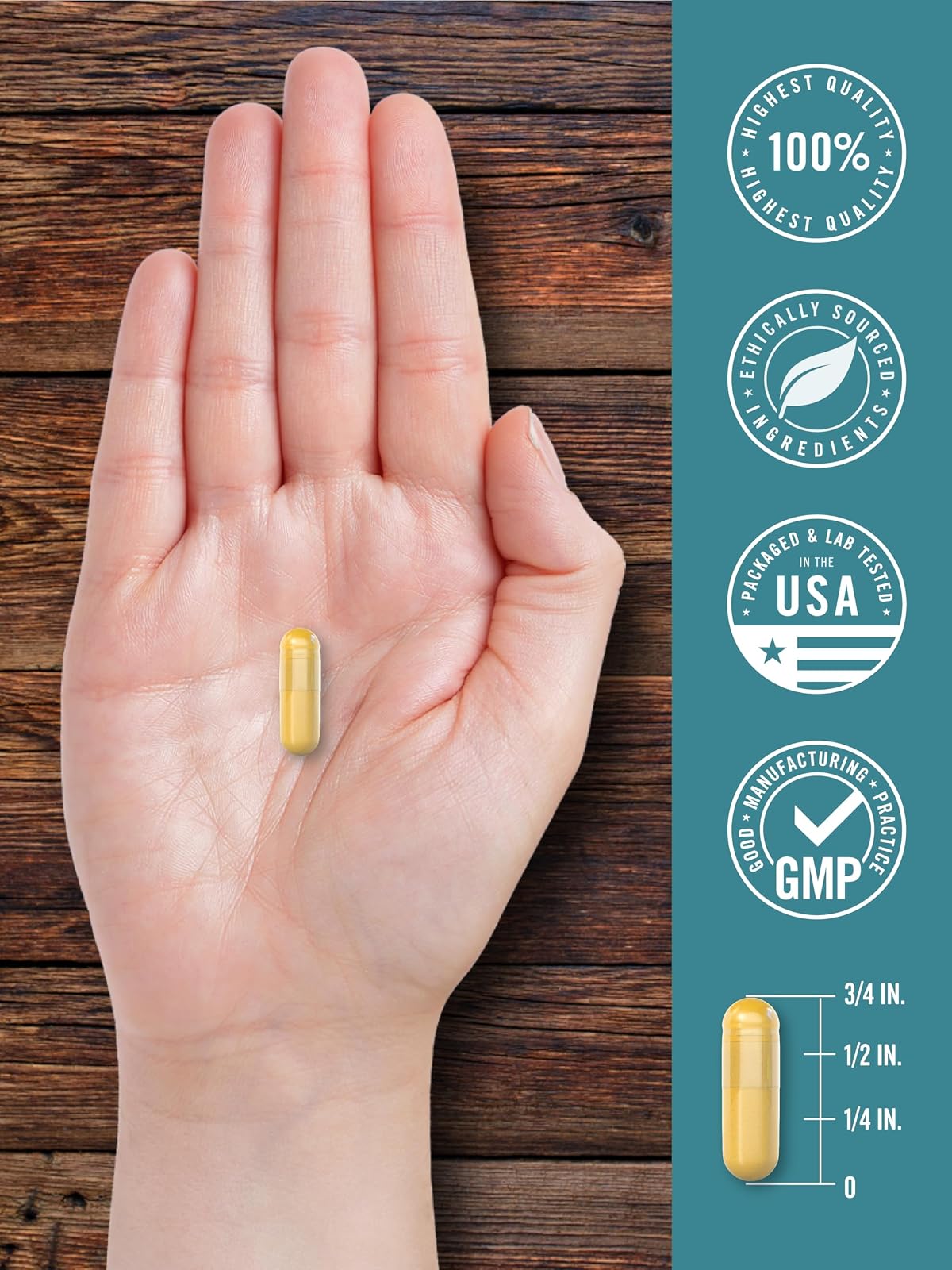 Ox bile supplement for digestive wellness