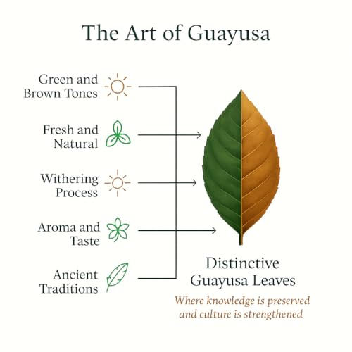 Pacha Guayusa tea bags for wellness