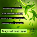 PACHA Guayusa tea for herbal detox