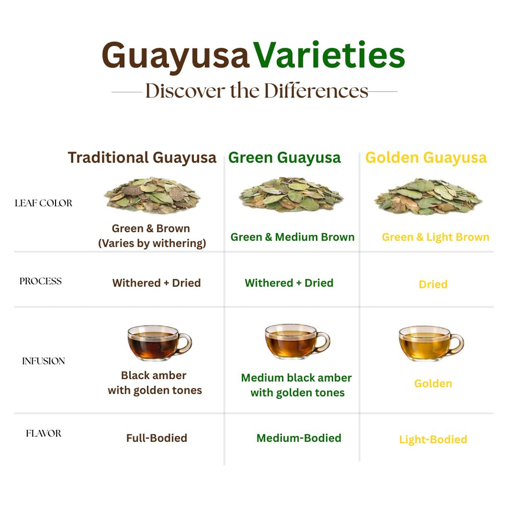 PACHA Guayusa tea for relaxation