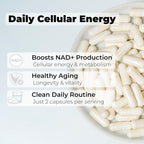 Pacific Formulations NMN health benefits