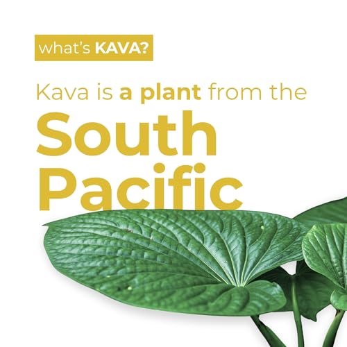 pack of 12 kava kava drinks