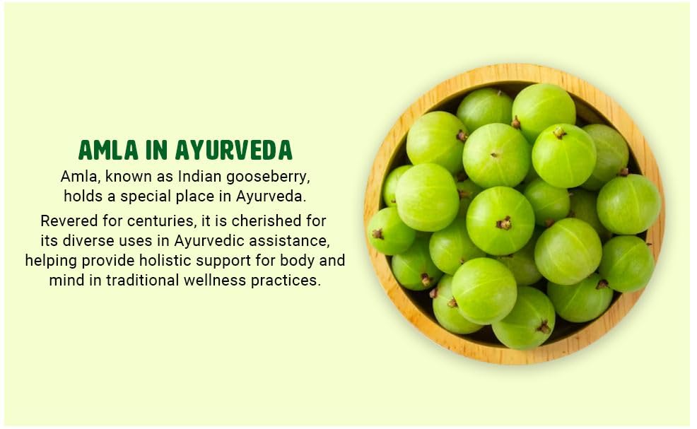 Pack of 2 Amla capsules