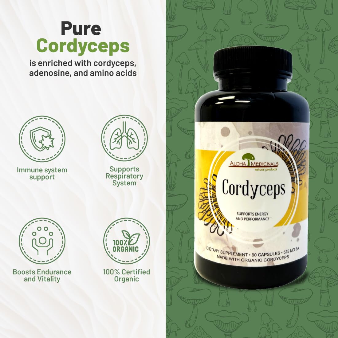 pack of 2 cordyceps capsules