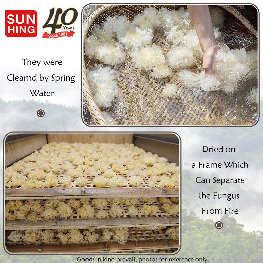 pack of two dried snow fungus