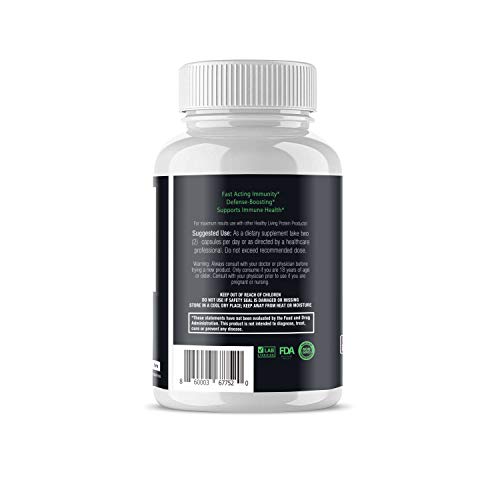 Paleo elderberry supplement for immunity