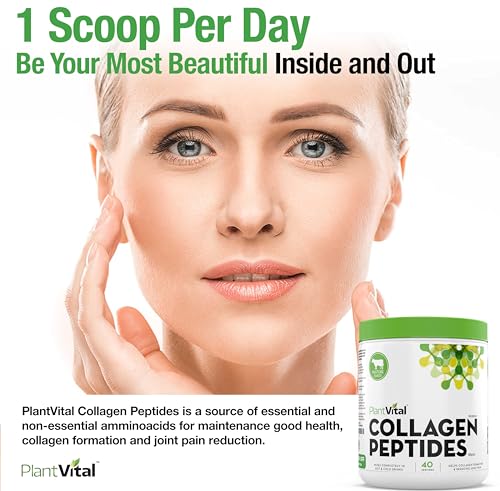 Paleo friendly collagen supplement