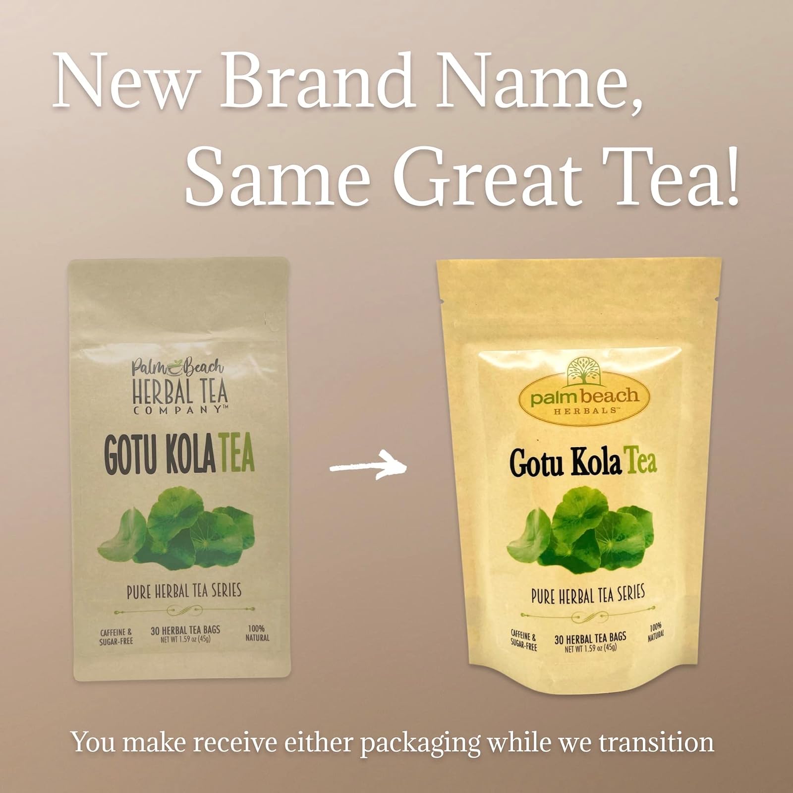 Palm Beach Gotu Kola tea bags