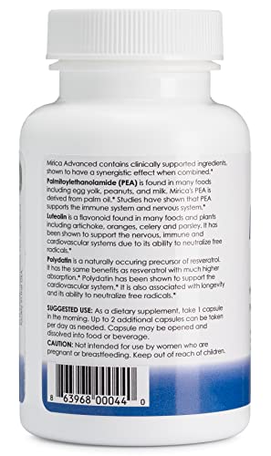 Palmitoylethanolamide capsules for seniors