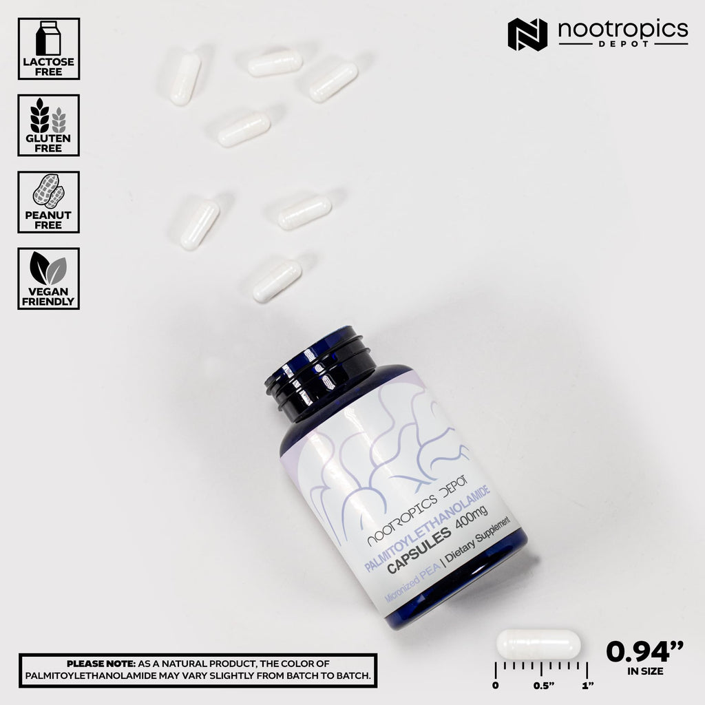 Palmitoylethanolamide for cellular wellness