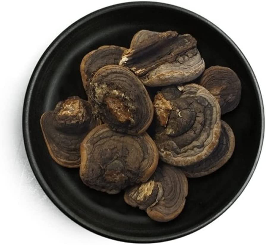 PALPLUS organic mushrooms for immunity