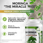 Panax ginseng and ginkgo biloba blend