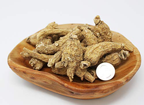 Panax ginseng benefits for immunity
