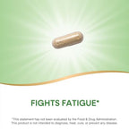 Panax ginseng capsules for vitality