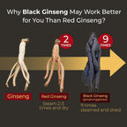 Panax ginseng extract energy boost