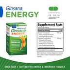 Panax Ginseng extract for daily energy boost