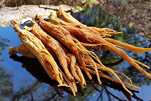 Panax ginseng extract for daily use