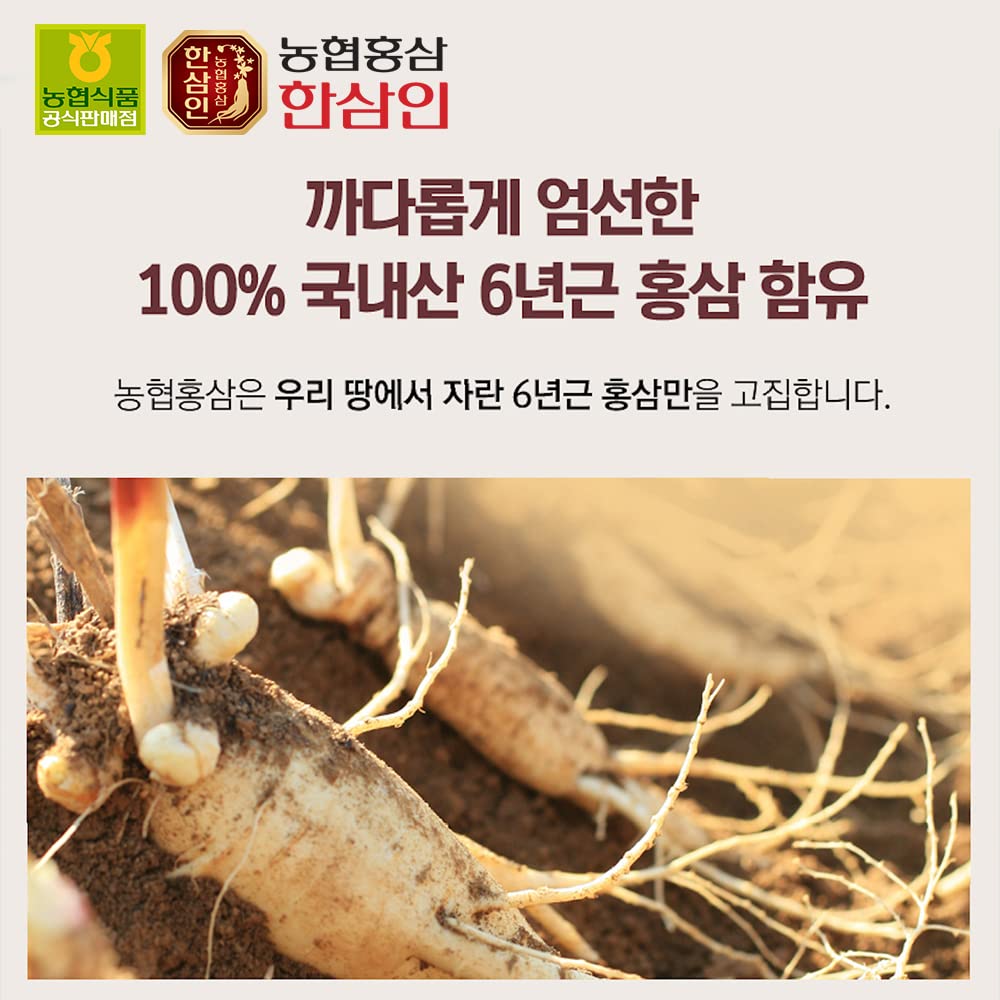 panax ginseng extract in sticks
