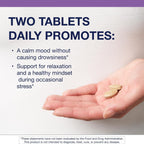 panax ginseng for daily wellness