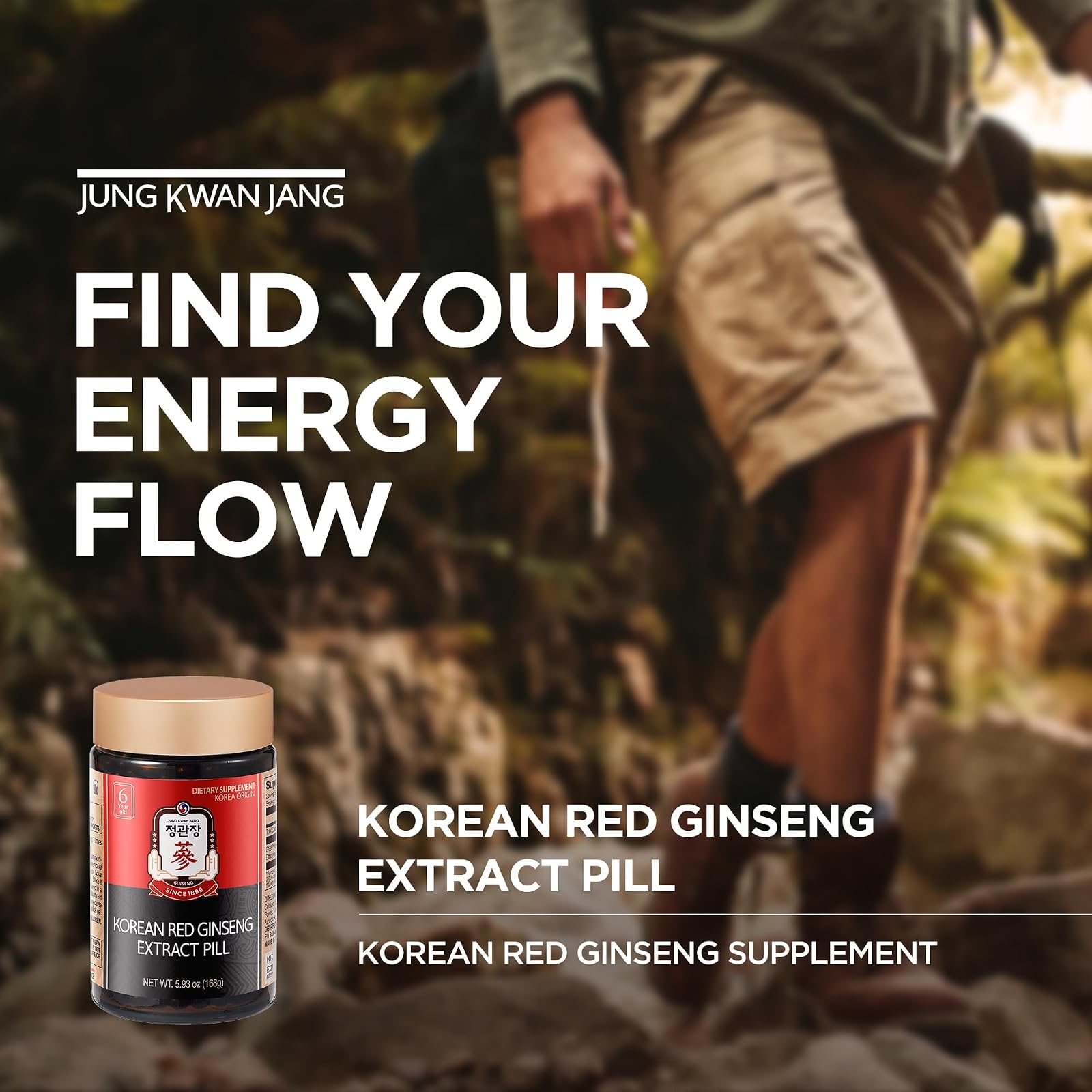 Panax ginseng for energy boost