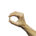 panax ginseng for enhanced energy levels
