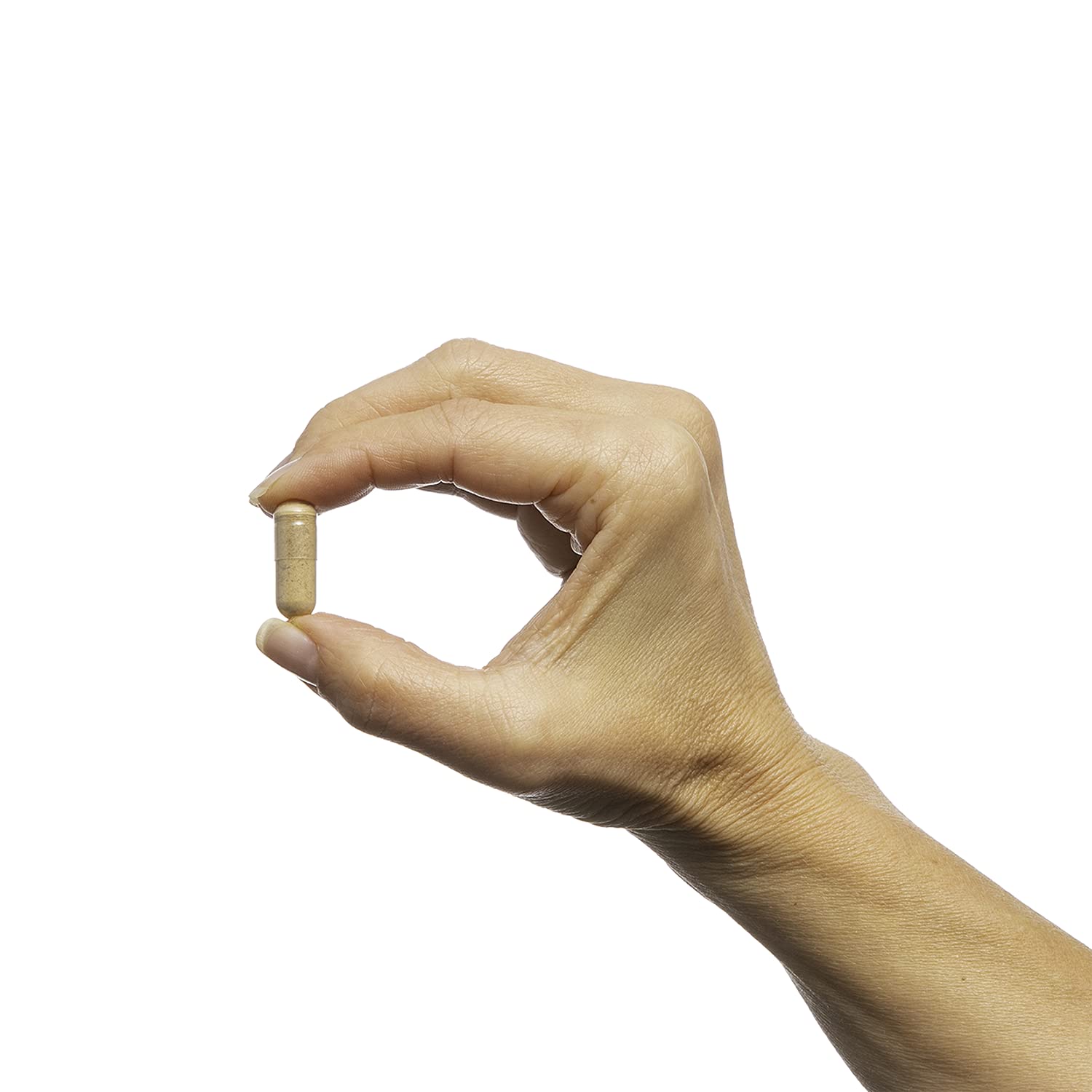 panax ginseng for enhanced energy levels
