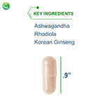 panax ginseng for enhanced energy