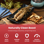 panax ginseng for enhanced focus