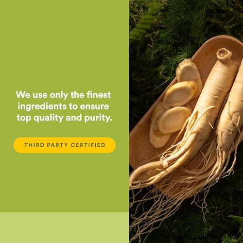 Panax ginseng for enhanced focus