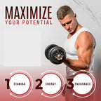 panax ginseng for enhanced focus