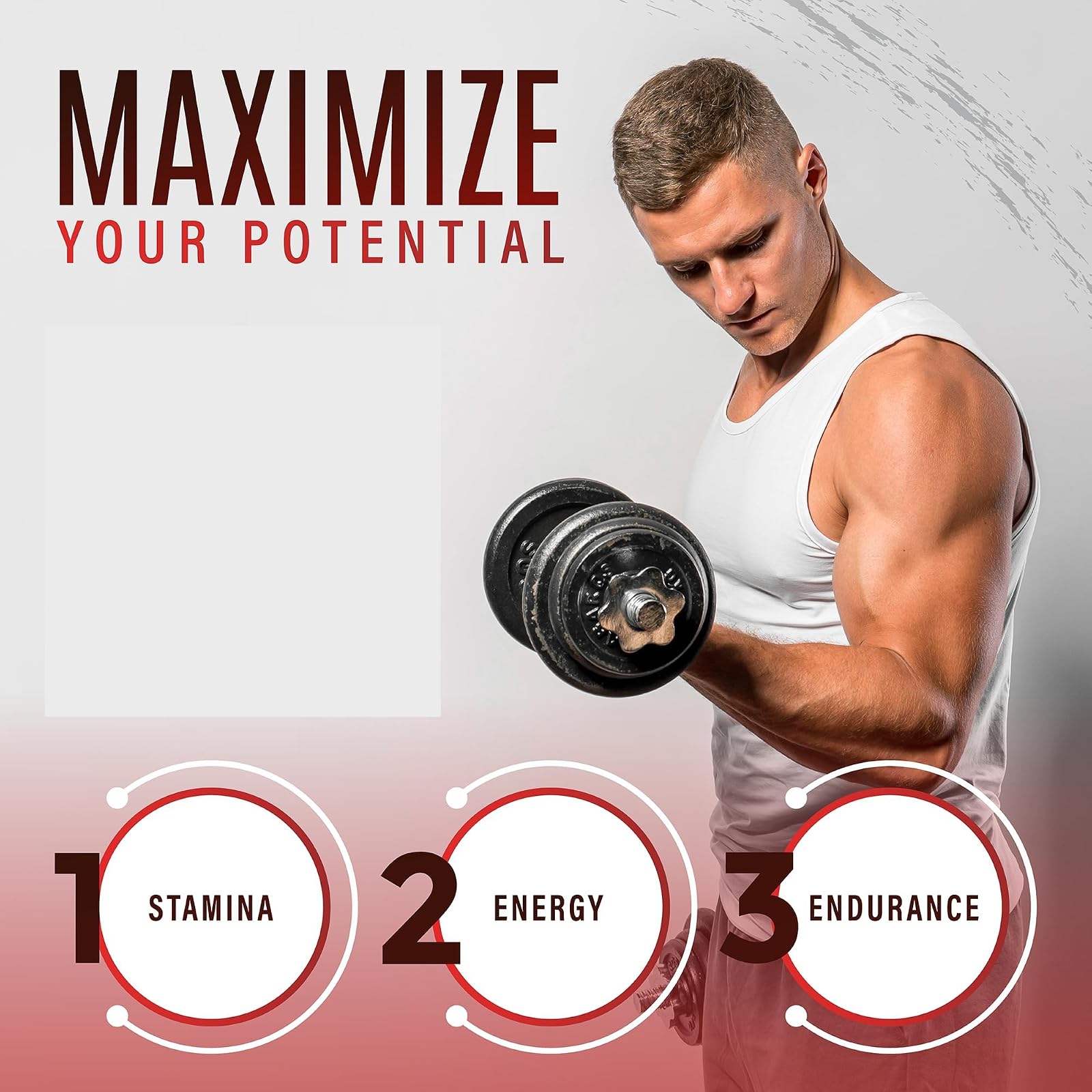panax ginseng for enhanced focus