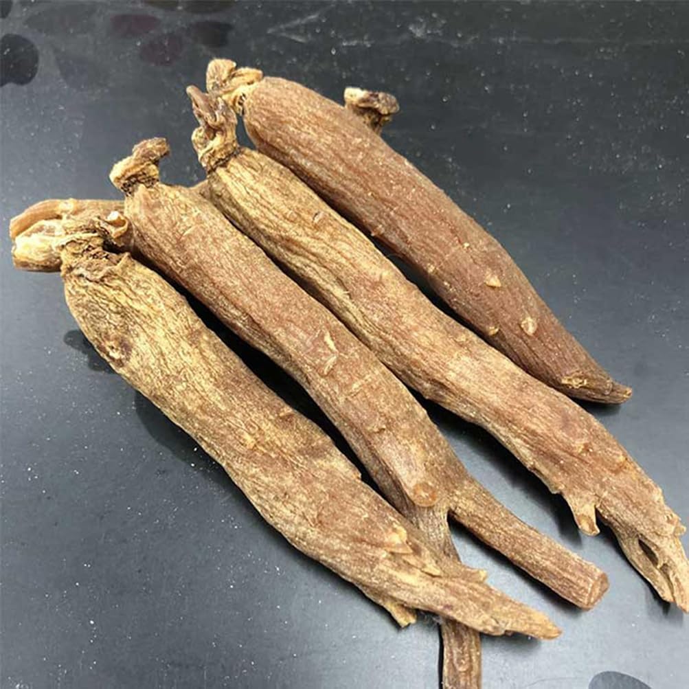 panax ginseng for enhanced focus