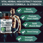 panax ginseng for improved performance