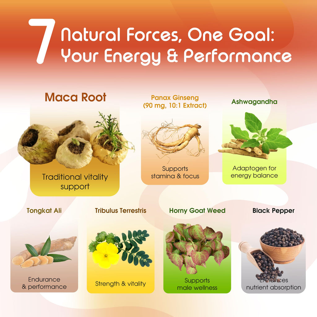 panax ginseng for mental clarity